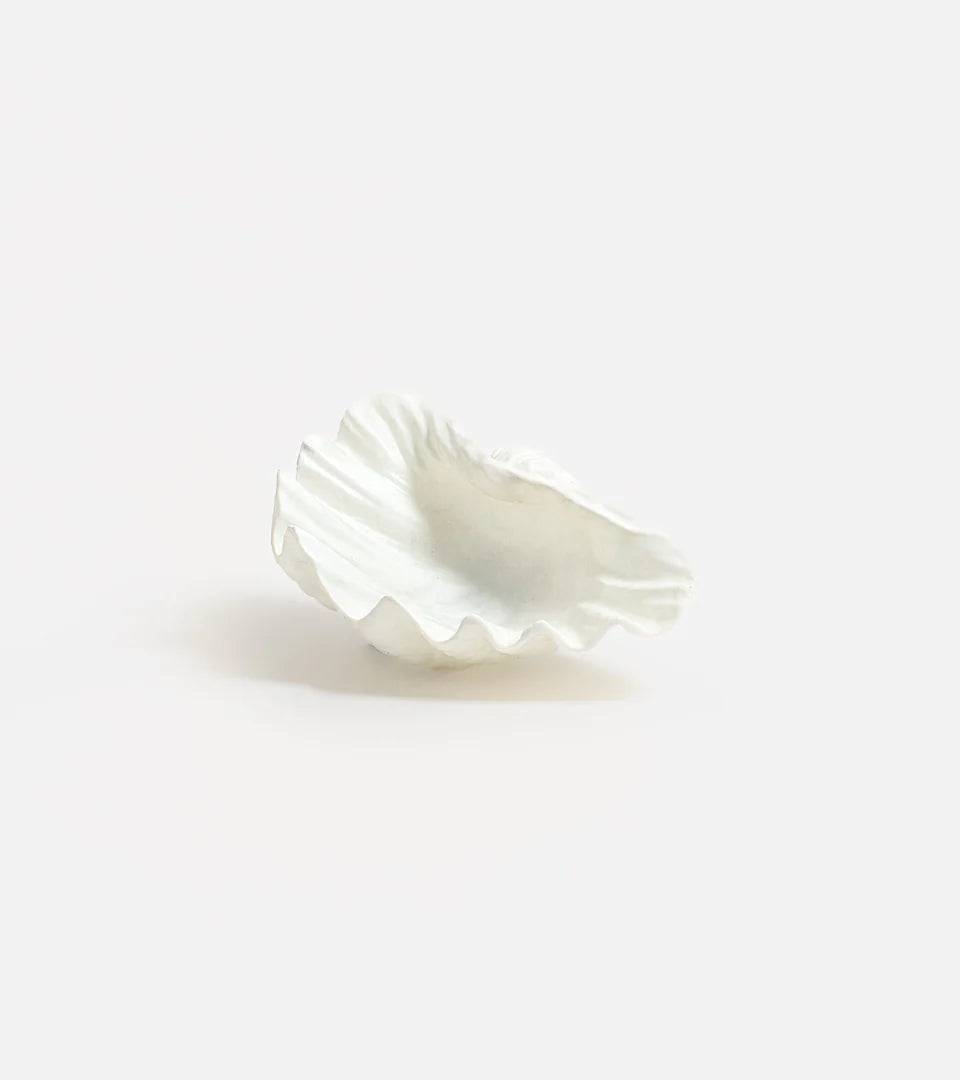 RESIN CLAM SHELL-LARGE – Pagoda & Co.